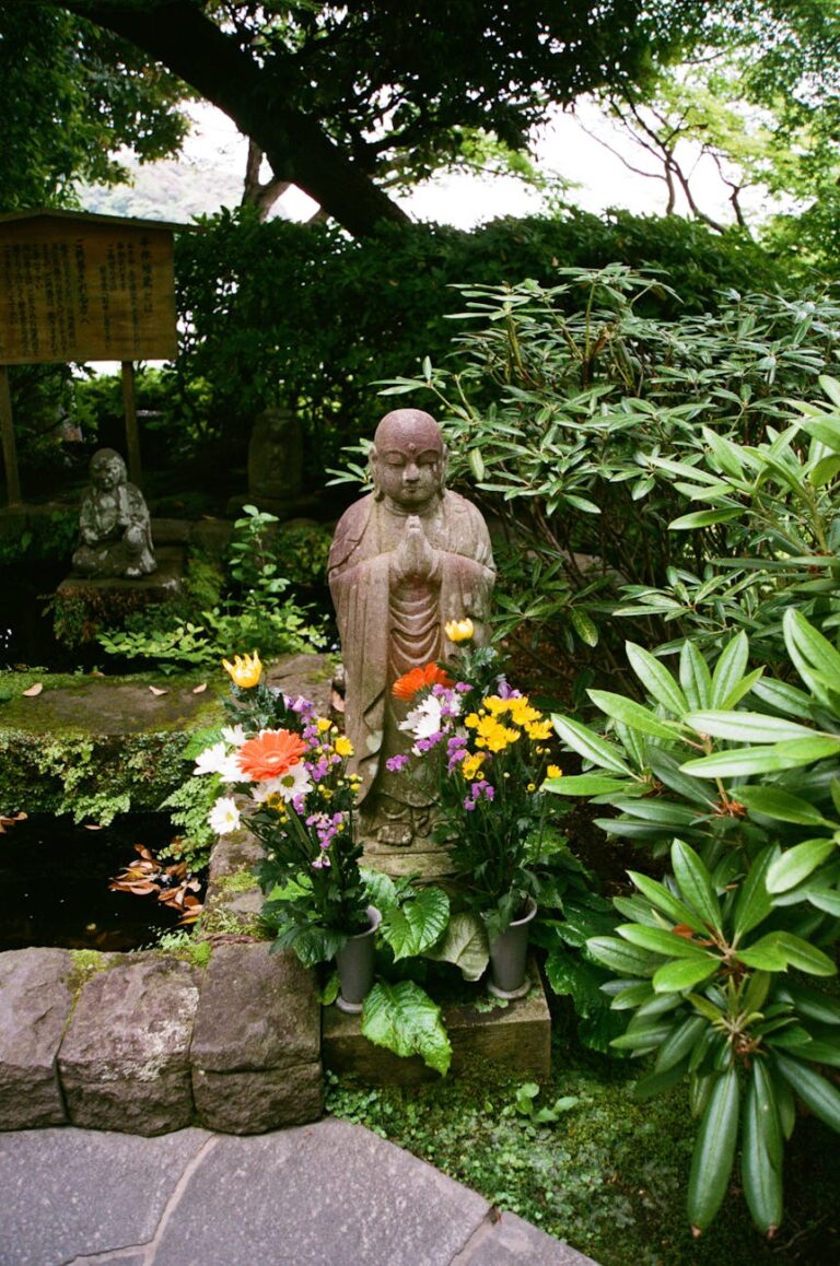 武田信義とは？鎌倉殿の13人で描かれる人物像と史実